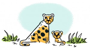 Cheetah Poop - FieldWorkFail